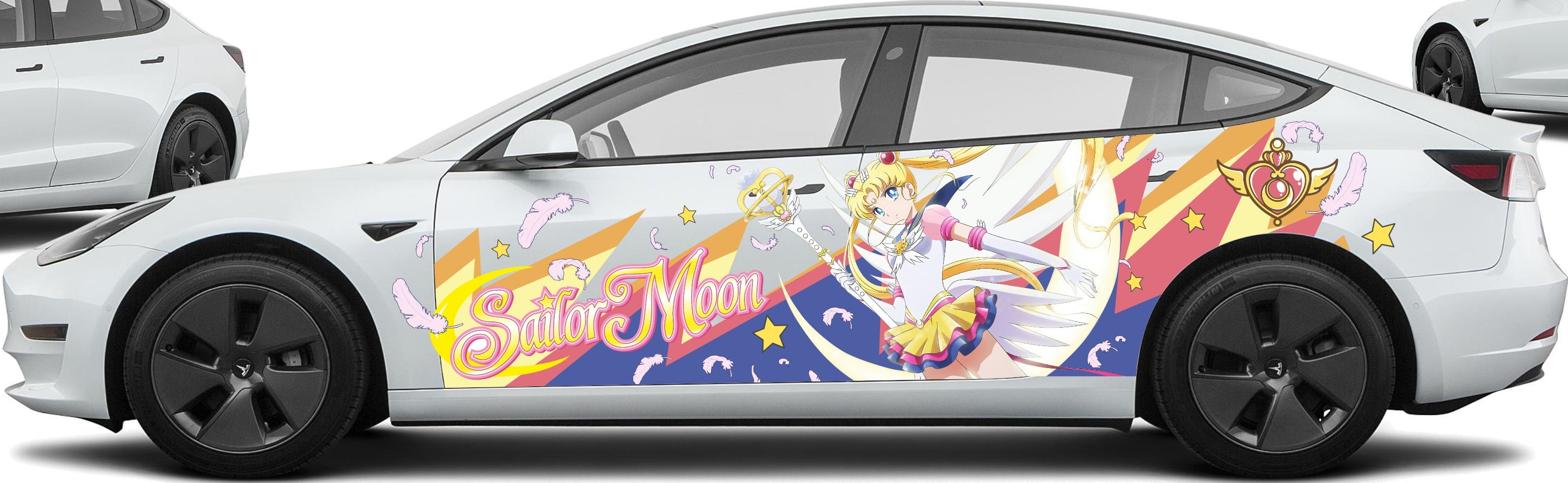 Custom design for 2022 Tesla Model 3 driver side – BDSDart